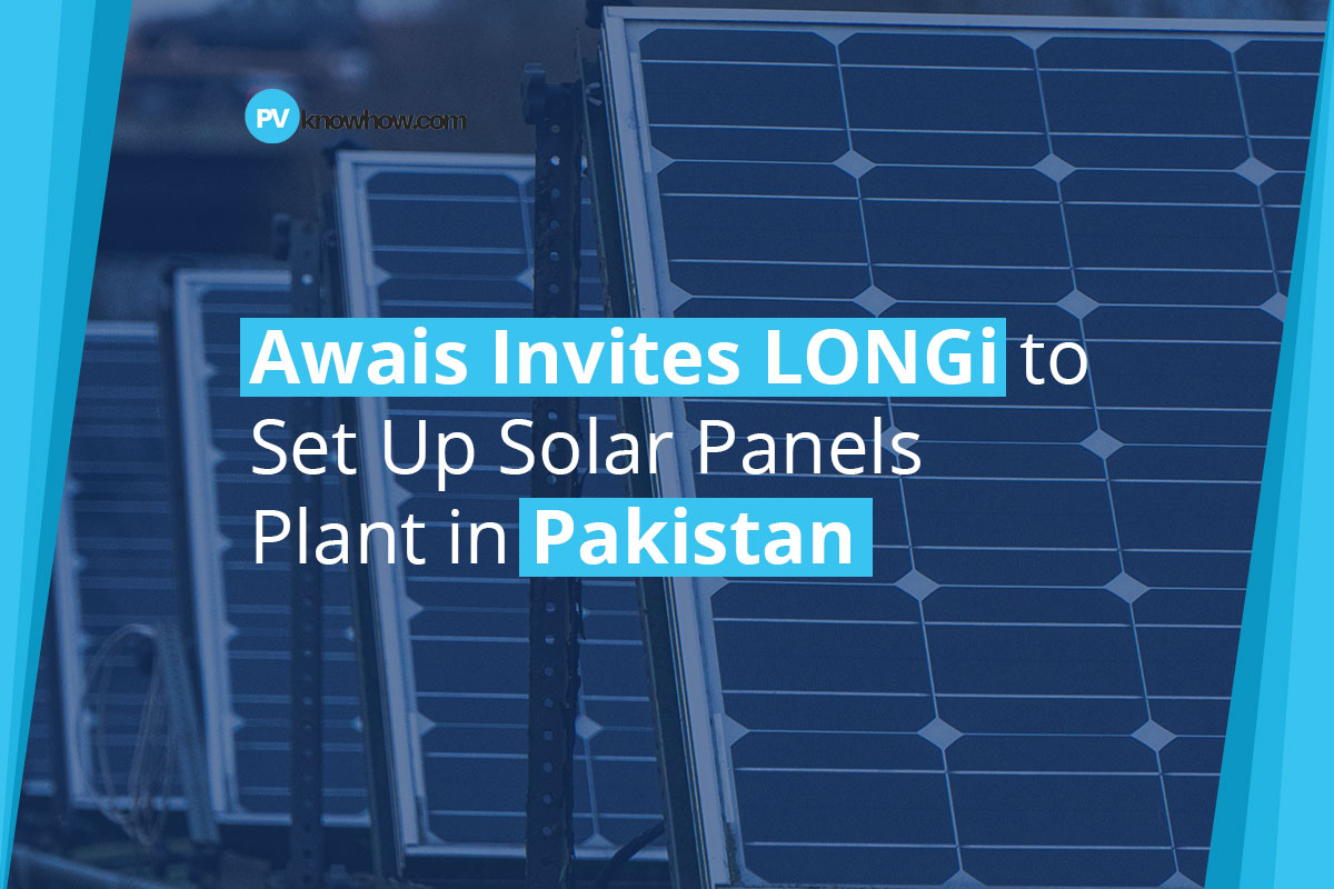 Awais Invites LONGi to Set Up Solar Panels Plant in Pakistan