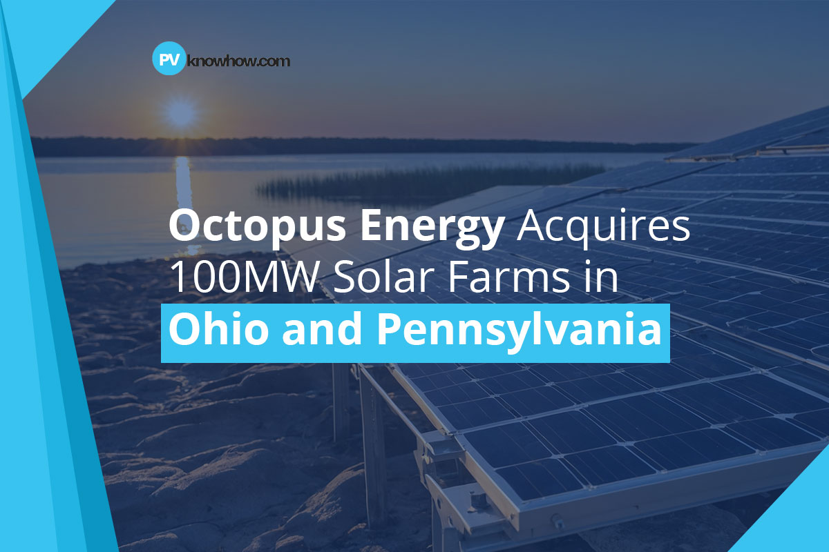Octopus Energy Enters US Market with 100 MW Solar Farm Deal