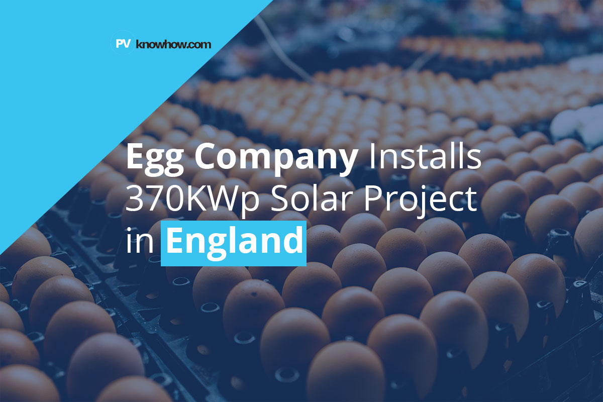 Egg Company Installs 370KWp Solar Project in England