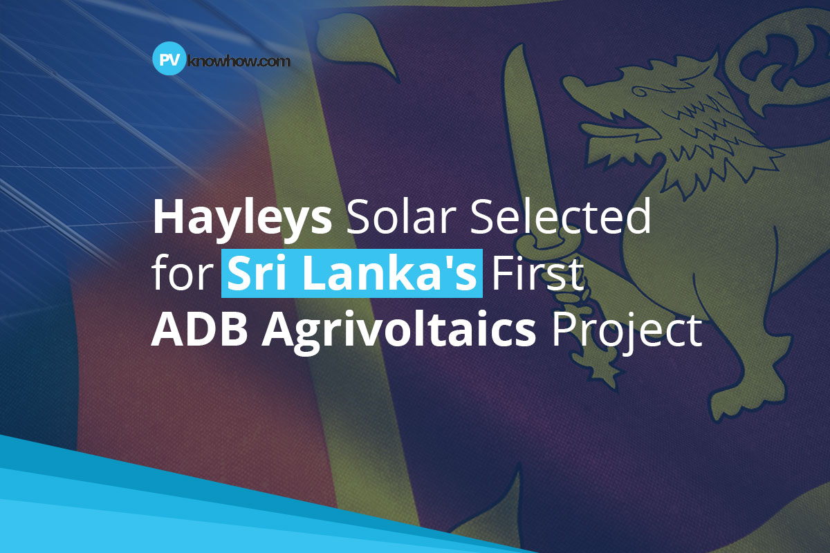 Hayleys Solar for Sri Lanka's ADB Agrivoltaics