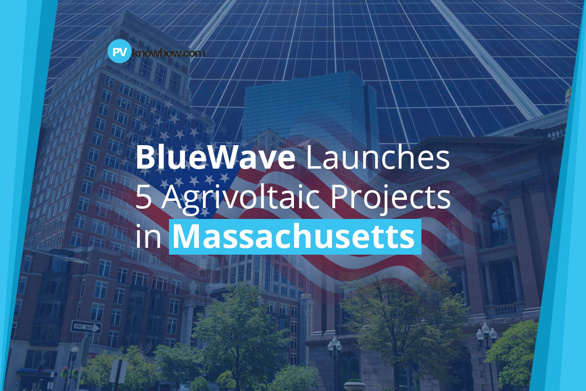 BlueWave Solar Unveils 5 Dual-Use Agricultural Projects in MA