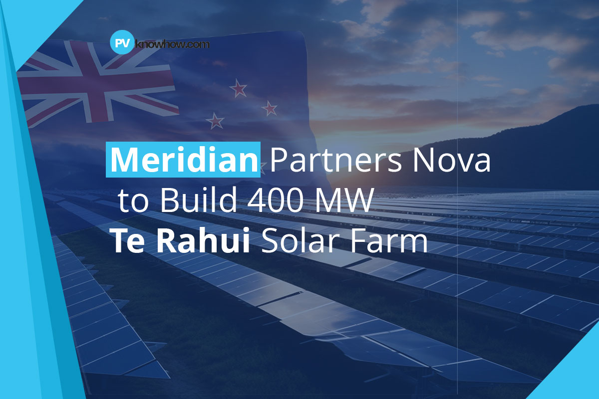 New Zealand Solar Panel Manufacturing Report | Market Analysis and Insights