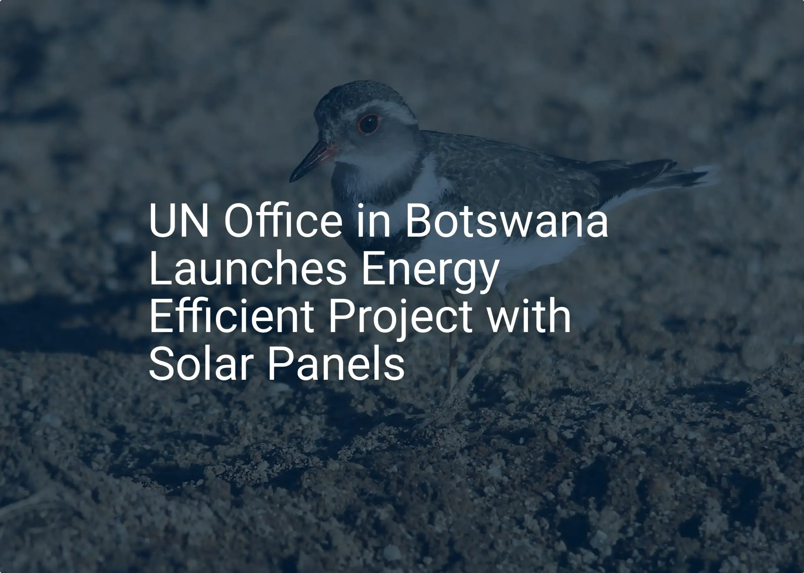Solar energy project Botswana: 5 Amazing Benefits of Solar for 17 ...